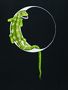 Alan Waters - Aotearoa Artist - The New Zealand Artists Magazine