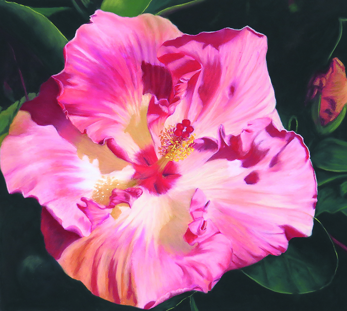 Glenys Forbes - Aotearoa Artist - The New Zealand Artists Magazine