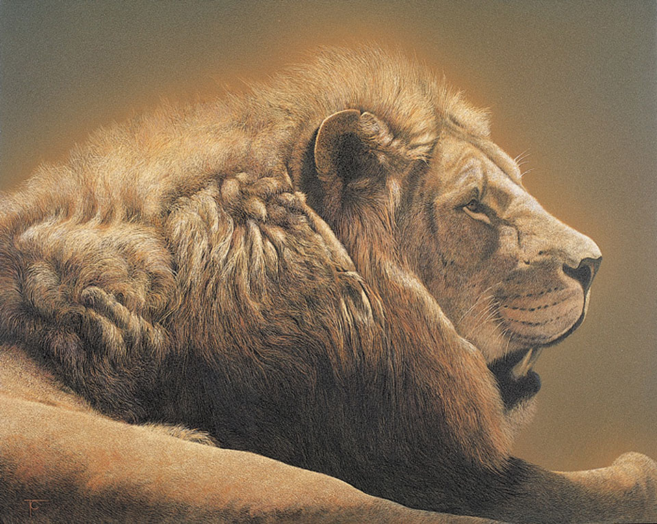 Tony Clarke - Aotearoa Artist - The New Zealand Artists Magazine